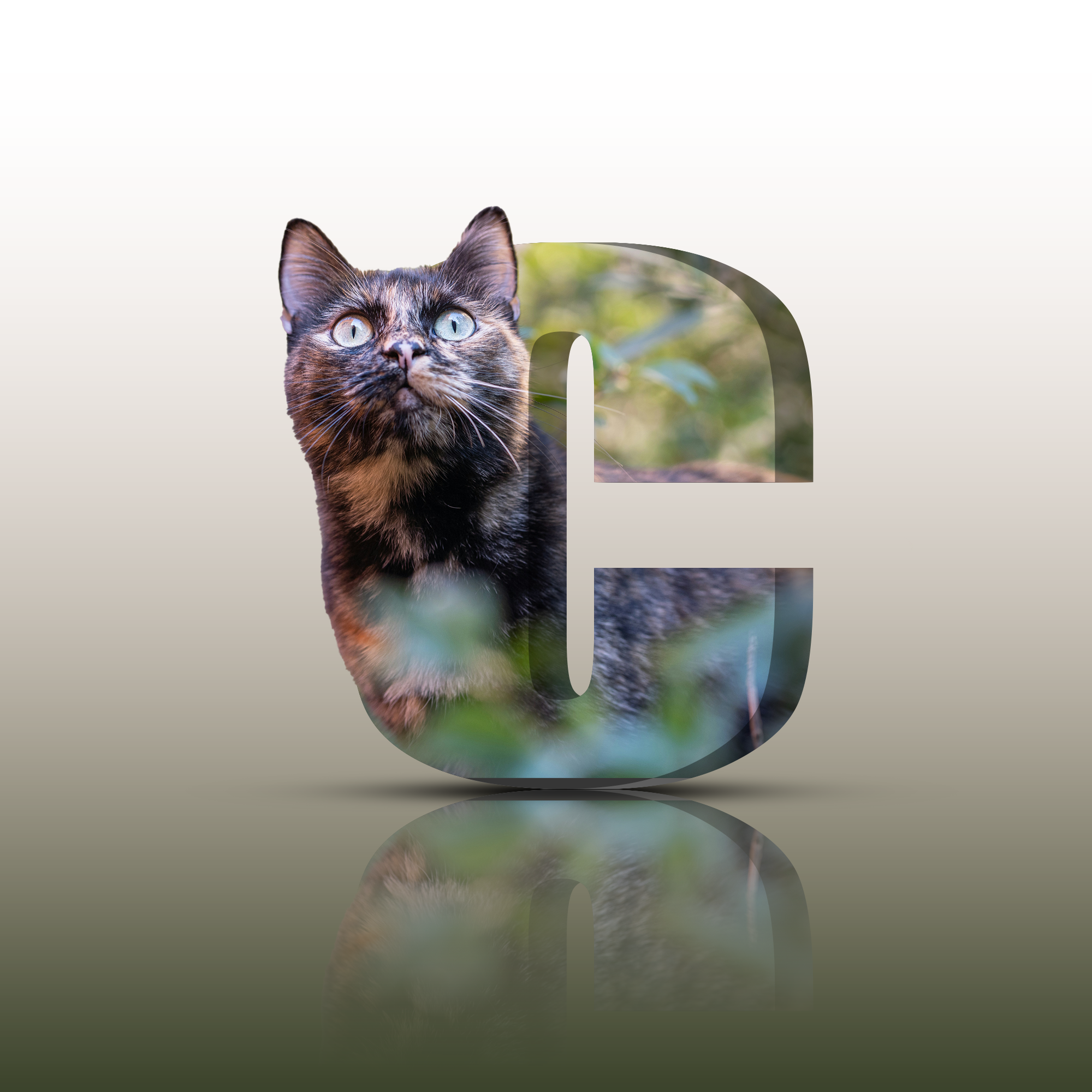 Drafts – Bengü Baştuğ